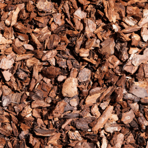 Natural Brown Pine Bark from Australia and Beyond